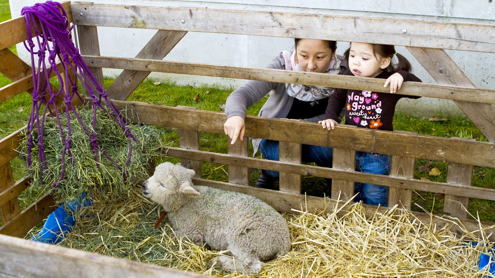 Kid Approved Easter Weekend - Kid Approved