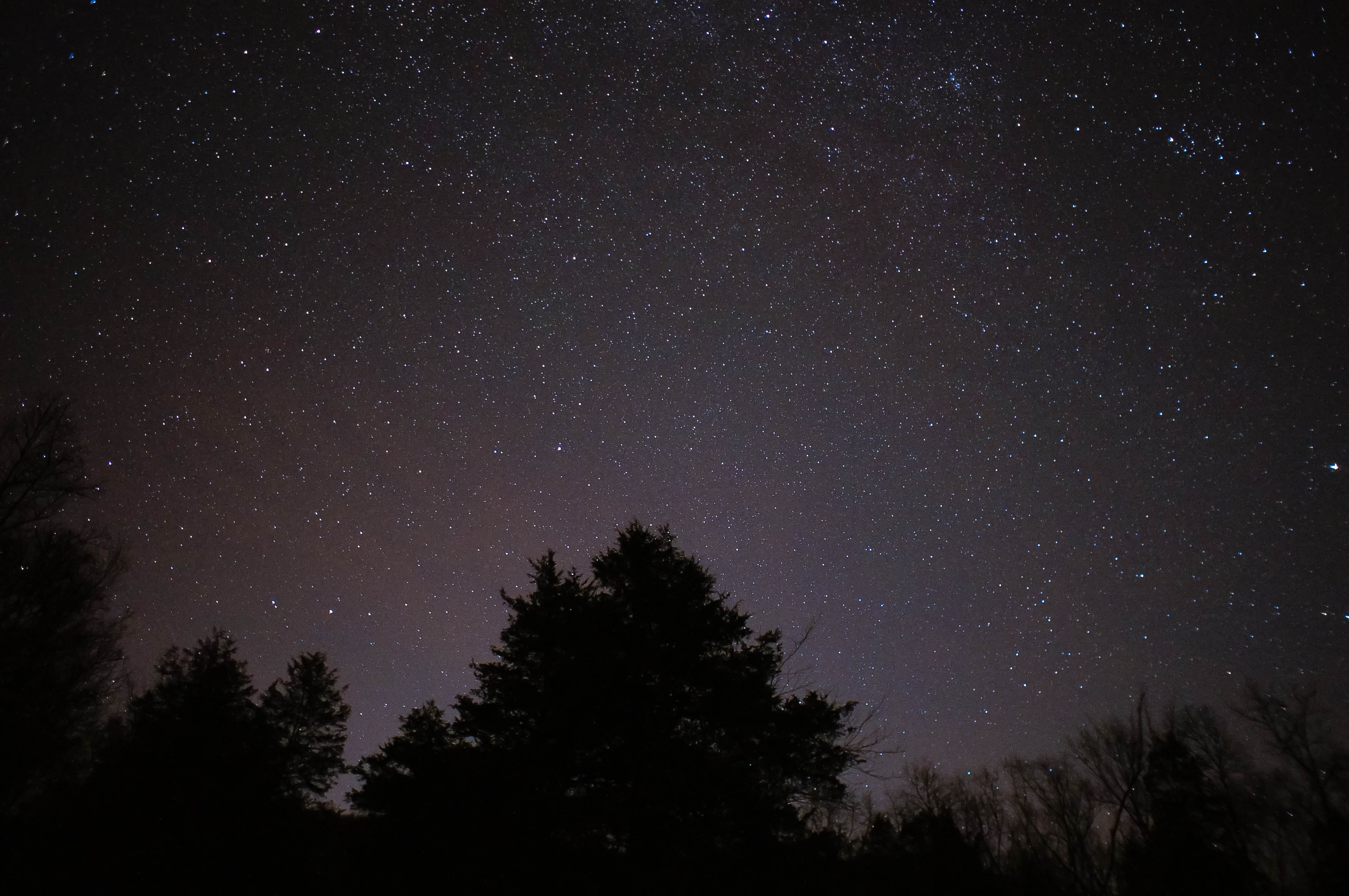 Starry Night - Kid Approved