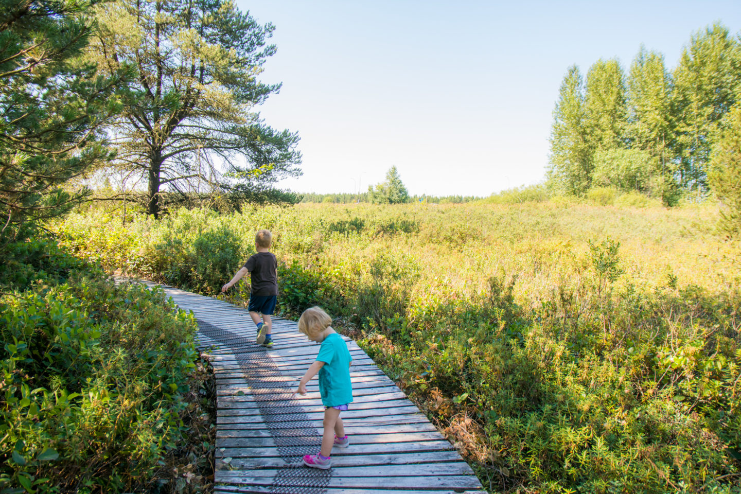 Exploring Burns Bog in North Delta - Kid Approved