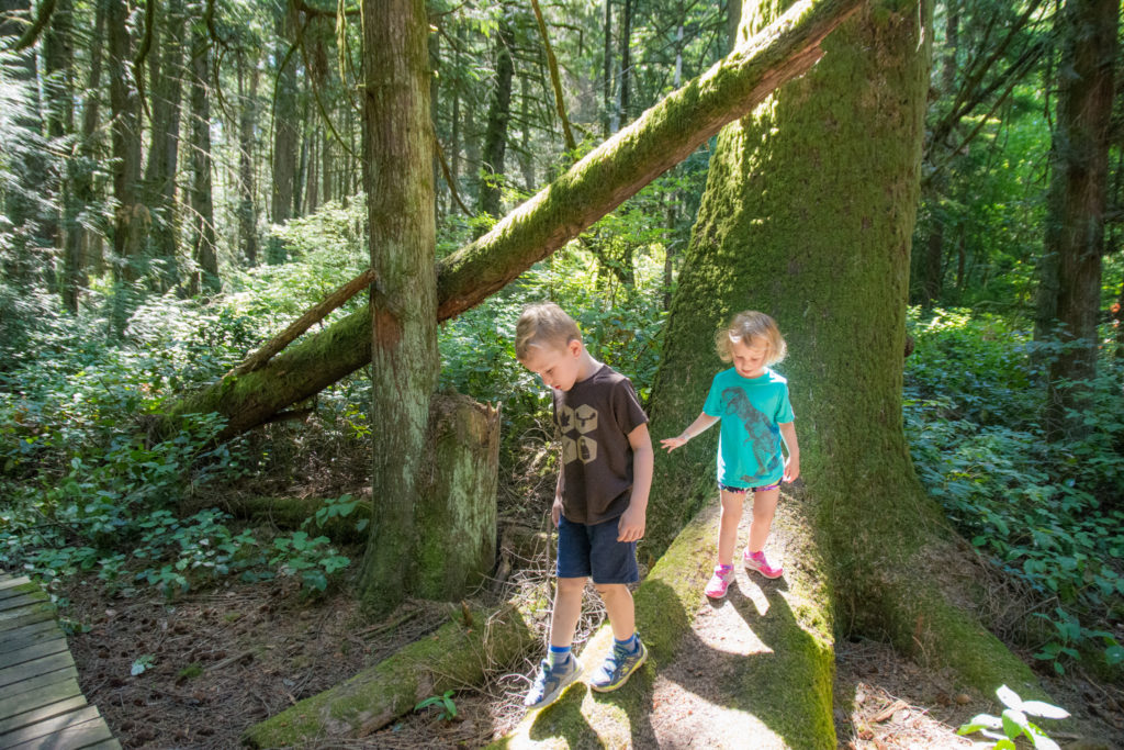 Exploring Burns Bog in North Delta - Kid Approved