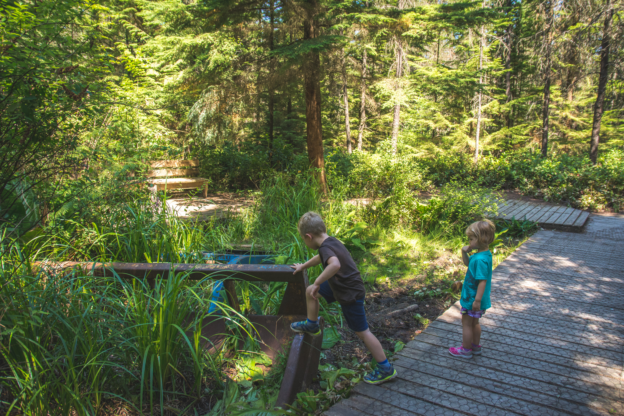 Exploring Burns Bog in North Delta - Kid Approved